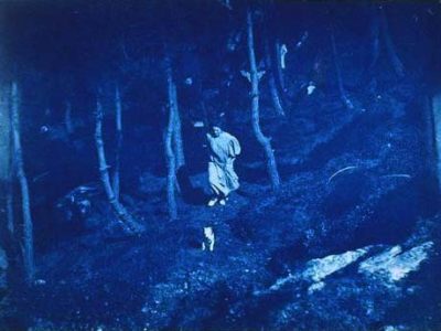 Cyanotyping at the turn of the century – Cyanographie